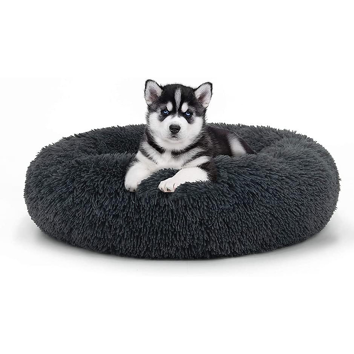 Geizire Cat Bed Dog Bed for Cats, Small Dogs, Washable Donut Calming Round,Soft Fluffy Warm and Cozy Anti Anxiety Cuddler, Joint-Relief Pet Bed (Medium, Green)