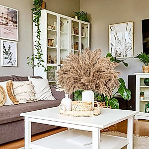 HUMINBO Pampas-Grass Pompous Dried Pampass Plants Fluffy Pompas Grasses 30 Stems Small Pompus Short