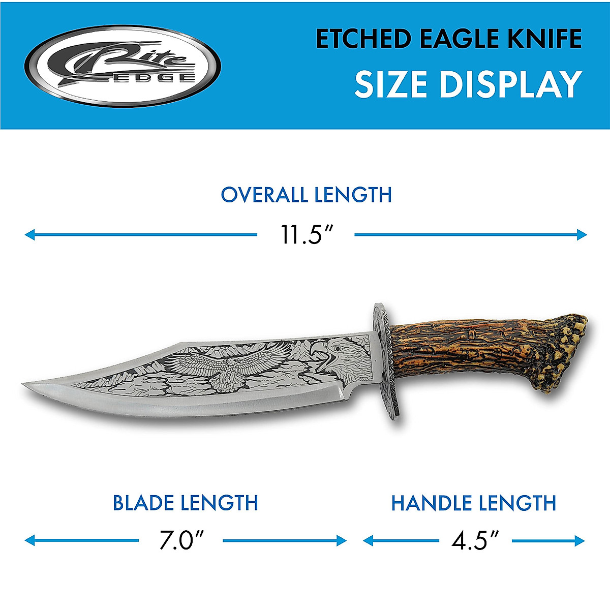 Szco Supplies 11.5” Decorative Eagle Etched Blade Outdoor Hunting Knife with Display Relief Art/Printed Antler Stand