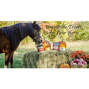 Mrs. Pastures Horse Cookies & Treats - Premium All Natural Treats (5 Pound Bag)
