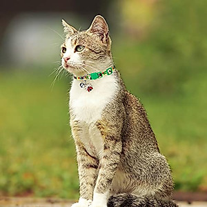 TAILGOO Breakaway Cat Collars with Bell - Spring Pet Collar 3 Pack for Kittens Puppies and Tiny Pets Small Pets