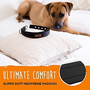 Mighty Paw Dog Collar - Padded Comfort - Neoprene Lining - High Visibility Reflective Threading - Weatherproof Nylon - Buckle Adjustable Dog Collar - Comfortable Dog Collar for All Dog Breeds