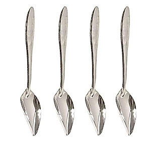 HONBAY 4PCS Stainless Steel Bird Feeder Spoons Parrot Feeding Scoops Hand Feeding Spoons for Parrot