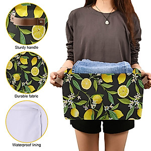 xigua Lemon Flower Storage Baskets,Large Decorative Collapsible Rectangular Canvas Fabric Storage Bin for Home Office(15x11x9.5inch,1 Pack)