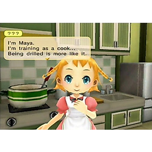 Harvest Moon: Animal Parade - Nintendo Wii