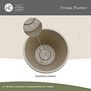 The HC Companies 12 Inch Round Prima Planter - Plastic Plant Pot with Rolled Rim for Indoor Outdoor Plants Flowers Herbs, Honey