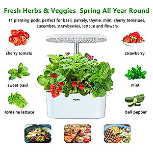Vegebox Hydroponics Growing System, Indoor Herbs Kitchen Garden with Full Spectrum LED Grow Light, Plants Germination Kit 11 pods with Automatic Timer, Adjustable Height Up 14 inch to for Home
