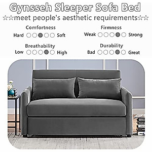 Gynsseh Loveseat Couch Pull Out Bed, 3 in 1 Convertible Sleeper Sofa Bed with Pillows and Storage Pocket, Soft Velvet Love Seat Lounge Sofa Bed Couch for Living Room, Gray