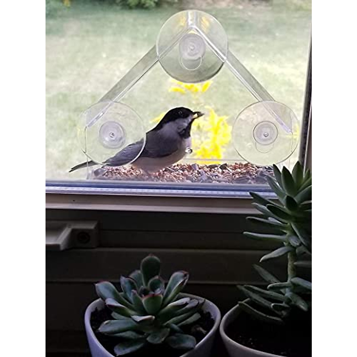 Window Bird House Feeder with Extra Strong Suction Cups Clear Bird Seed Holder for Outside Birdhouse Shape WMBF0001