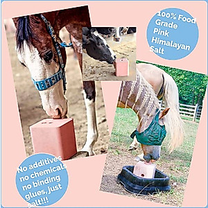Himalayan Secrets 8.8LB (4KG) Compressed Pink Himalayan Salt Animal Lick Brick for Livestock and Wildlife - 100% Pure & Natural Feed Salt - 84 Natural Minerals and Trace Elements