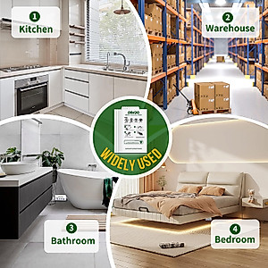 Mouse & Insect Glue Trap for Indoor, 10 Pack Mouse Traps for Home, Sticky Pest Control Adhesive Tray for Catching Rats, Rodents, Bugs, Non Toxic Pre-Baited Glue Boards