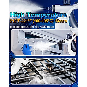 Handheld Pressurized Steam Cleaner with 11-Piece Accessory Set, Multi-Surface Steamer for Cleaning, All Natural Steam Cleaner for Home, Upholstery, Car, Floor, Grout and Tile