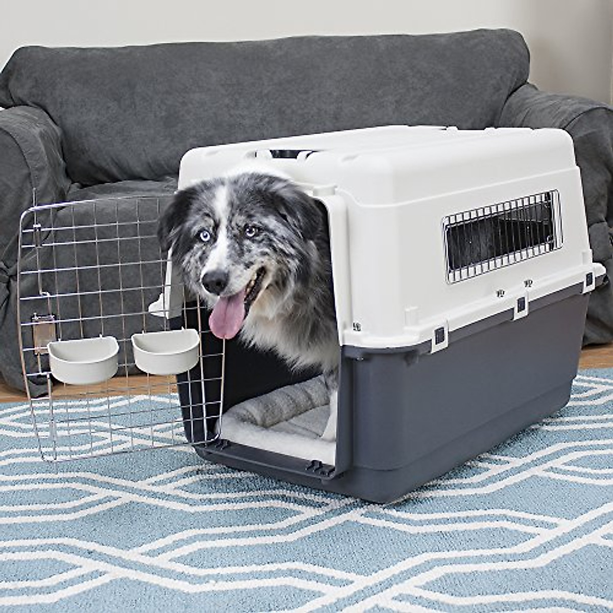 SportPet Designs Plastic Kennels Rolling Plastic Wire Door Travel Dog Crate- Large Kennel, Gray