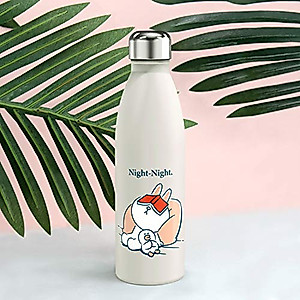 Zak Designs LINE Friends CONY 17.5 oz Stainless Steel Vacuum Insulated Water Bottle with Leak-Proof Cap Keeps Drinks Cold