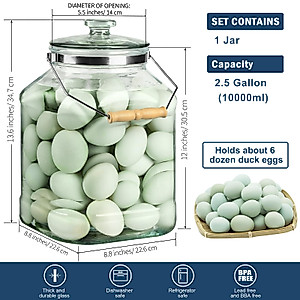 Daitouge 2.5 Gallon Glass Jar with Lids, 5.5" Opening Heavy Large Glass Storage Jars with Handle, Extra Big Glass Container for Kitchen Organization