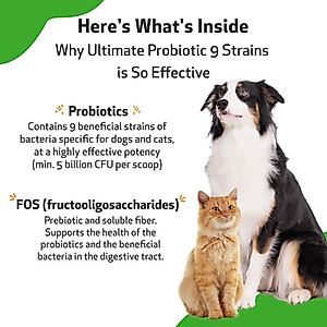 Pet Wellbeing - Ultimate Probiotic 9 Strains for Cats and Dogs - Natural Support for Digestion and Urinary Tract Health 160 grams.