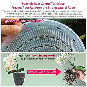 Meshpot 5 inch Orchid Pots with Holes for Repotting,Set of 2,Double Layer Plastic Imitate Ceramic Orchid Planter Provide Good Air Circulation,Clear Orchid Pot Match Decorative Orchid Container