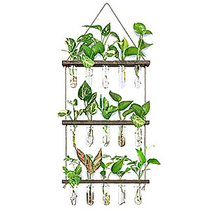 XXXFLOWER Wall Hanging Propagation Station with Wooden Stand 5 Glass Test Tubes 3 Tiered Planters Wall Terrarium for Home Office Plant Hanger Flower Vases Wall Decor Hydroponic Cuttings