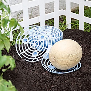 Homarden Melon Cradle - Pumpkin Support, Watermelon Holder Stand Trellis, Squash or Pumpkin Cradles, Plant & Garden Vegetable Supports for Cantaloupe, Honeydew, Pumpkins (Set of 12)
