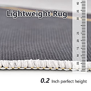 Rectangle Enterway Rug Low Pile Area Rug Non Slip Accent Throw Rug Kids Play Floor Carpet for Indoor Entrance Mat Living Room Laundry Bedroom Dining Table Decor 32x47 Inch Pattern 4