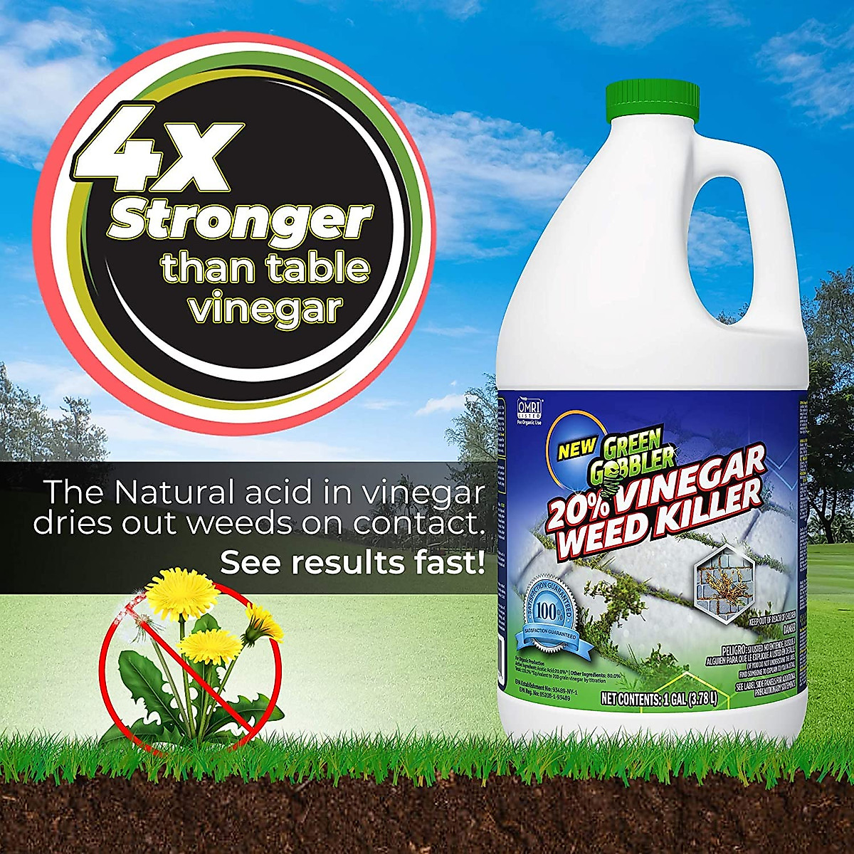 Green Gobbler 20% Vinegar Weed & Grass Killer | Natural and Organic | 1 Gallon | Glyphosate Free Herbicide | Refill