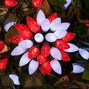 KAQ C9 Christmas Lights 2PK 100 LED 98ft Extendable Waterproof Christmas Lights Green Wire String Lights, Outdoor Christmas Lights for Patio Wedding Party Christmas Decorations (Red & Cool White)