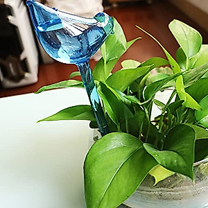 Plant Self-Watering Bulbs, 10pcs Self Watering Planter Insert, Flower Automatic Watering Drip Irrigation Device, Indoor Outdoor Garden Self Waterer for Plant