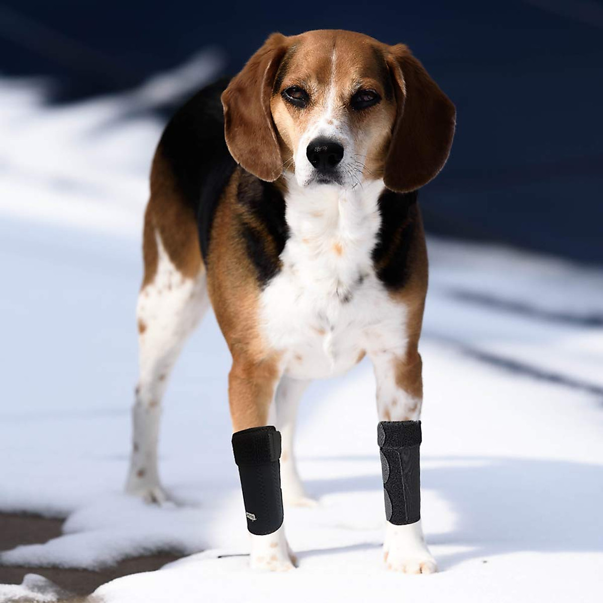 Dog Canine Front Leg Brace Wrap, Pair of Dog Leg Compression Sleeve Brace Wrap with Metal Strips Protects Wounds Brace Heals and Prevents Injuries & Sprains Helps Arthritis L/XL