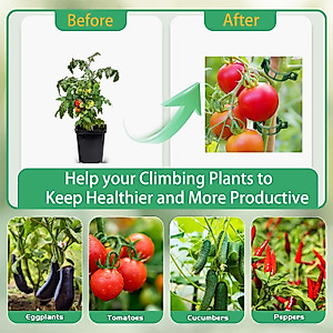 Tomato Clips for Climbing Plants, Upgrade Secured Plastic Plant Clip, Tomato Trellis Clips for Plants Support, Plastic Plant Clips for Tomatoes Vines Gardening Supplies