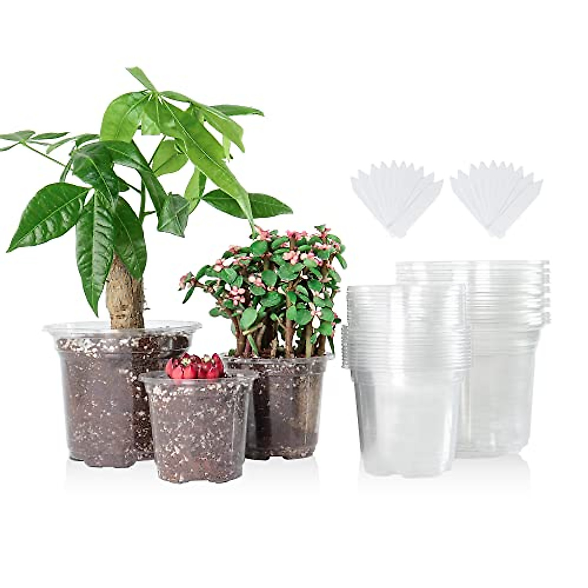 36 Packs 5/4/3.5 Inch Reinforced Clear Nursery Pots with Drainage Hole, Transparent Nursery Pots Variety Pack Plastic Plant Pot Seedling Planter Seed Starter Pots Flower Pot with 20pcs Plant Labels