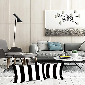 Outdoor Lumbar Pillow Covers 12x20 Set of 2 Black White Striped Farmhouse Lumbar Patio Pillow Cases Soft Microfiber Cushion Covers for Home Sofa Couch Seasonal Decoration