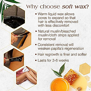 GiGi Dark Honee Hair Removal Soft Wax, Thick to Coarse Hairs, Normal to Dry Skin, Men and Women, 14 oz.