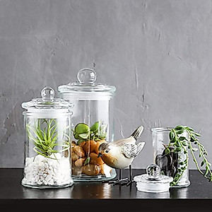 KMwares 3PCs Set Small Mini Clear Glass Premium Quality Apothecary Jars with lids Bathroom Accessories Set for Bathroom Laundry Room Storage or Kitchen / Vanity Organizer Canisters for Cotton Balls / Swabs, Makeup Sponges, Bath Salts, Q-Tips (Clear)