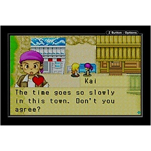 Harvest Moon More Friends of Mineral Town (Renewed)