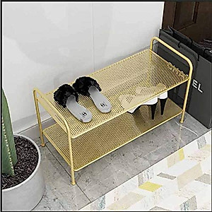 TAZSJG 2/3 Tiers Shoe Rack, Small Shoe Rack Organizer, Space Saving Shoe Shelf, Iron Shoe Rack (Color : A, Size : 2layers)