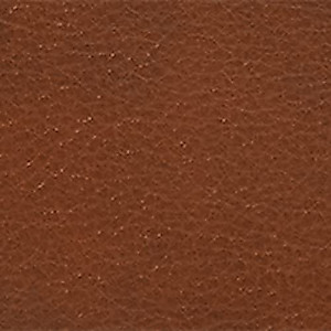 Fossil Women's Small Leather Wristlet Wallet Pouch with Removable Strap