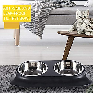 Raised Cat Bowl Pet Bowl,Stainless Steel Elevated Small Dog Bowls,15°Tilted Whisker Reliefs Fatigue Free Stress Anti Vomiting Cat Food Water Bowls,Non Slip Cat Feeding Bowls（Double Bowl）
