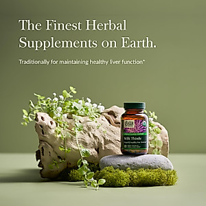 Gaia Herbs Milk Thistle - Liver Supplement & Cleanse Support for Maintaining Healthy Liver Function* - 60 Vegan Capsules (20-Day Supply)