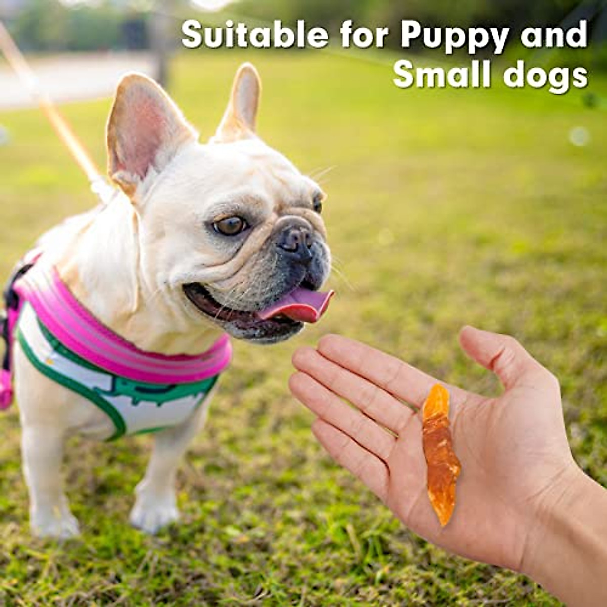 MON2SUN Dog Treats Rawhide Free Chicken Wrapped Sweet Potato Dog Snacks, Gluten&Grain Free Dog Treats for Puppy and Small Dogs, 25oz