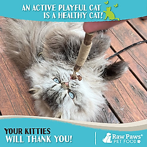 Raw Paws Silvervine Stick Toys, 3 ct - Interactive Cat Toys with Feathers, Cat Kicker Toy, Catnip Toys for Cats, Cat Feather Stick Silvervine for Cats, Matatabi Sticks Cat Feather Toys for Indoor Cats