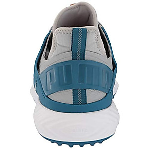 Puma Men's Ignite Pwradapt Caged Golf Shoe, High Rise-Puma Silver-Digi-Blue, 11.5