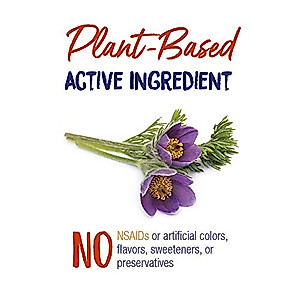 Boiron Pulsatilla 30C Homeopathic Medicine for Relief from Cold, Nasal Congestion, Thick Mucus, and Cough - 3 Count (240 Pellets)