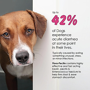 Oral Paste for Dogs & Cats-Helps Reduce Occasional Loose Stool & Diarrhea, Balance Gut pH, Support Normal Digestion & Intestinal Flora-Fast Acting Probiotic (60 CC - Tasty Chicken Flavor)