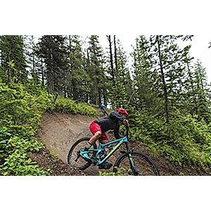 VISION SIX Impression, Parks Edition, Running and Cycling Socks (Zion, Large)