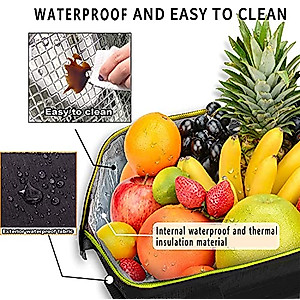 Lunch Bag Insulated Lunch Box Wide-Open Lunch Tote Bag Portable Small Cooler bag for College Work Picnic Hiking Beach Fishing