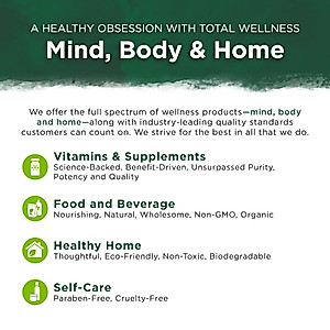 Swanson Ginkgo Biloba Extract 24% 60 Milligrams 240 Capsules