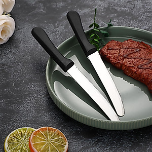 Zhehao 150 Pcs 8.39 Inches Steak Knife Sets Black Steak Knives Serrated Edge Dinner Knives Stainless Steel Table Knives with Plastic Handle and Round Tip for Home Restaurant
