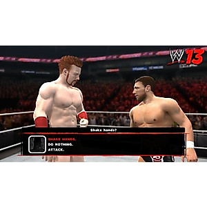 WWE '13