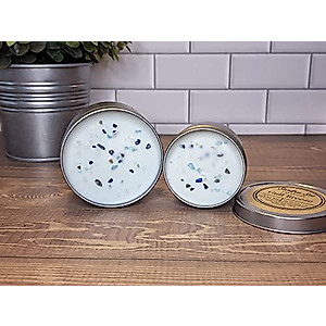 Sandra Sue Creations | Wickless Candle | All Natural | Highly Fragrant | 4oz and 8oz (White Tea & Sage, 4 oz)