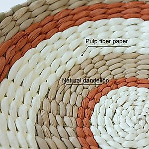 Walbest Woven Basket Hanging Wall Decor - Round Handmake Decorative Seagrass Boho Wall Art Baskets - Ethnic Art Style Natural Hanging Wicker Rattan Plates H 20cm